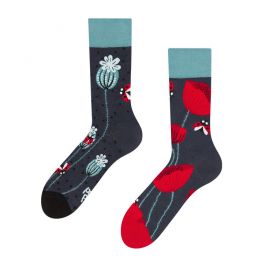 Good Mood Socks - Ladybugs & Poppy Flower